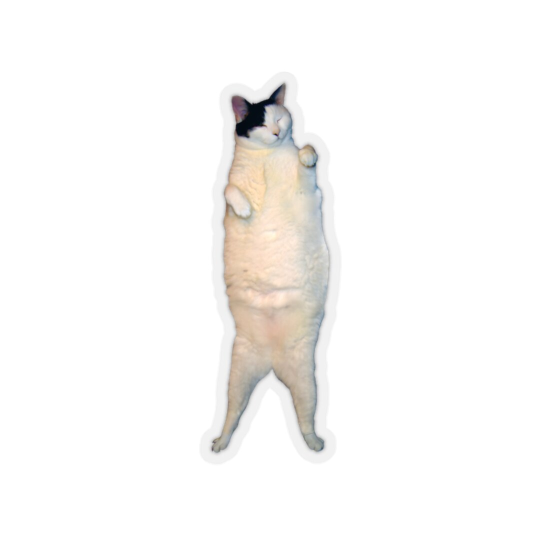 Kitty Cat Dance Sticker #3 - Etsy