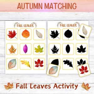 Fall Leaf Matching Activity, Matching Leaves, Fall Leaf Montessori ...