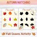 Fall Leaf Matching Activity, Matching Leaves, Fall Leaf Montessori ...