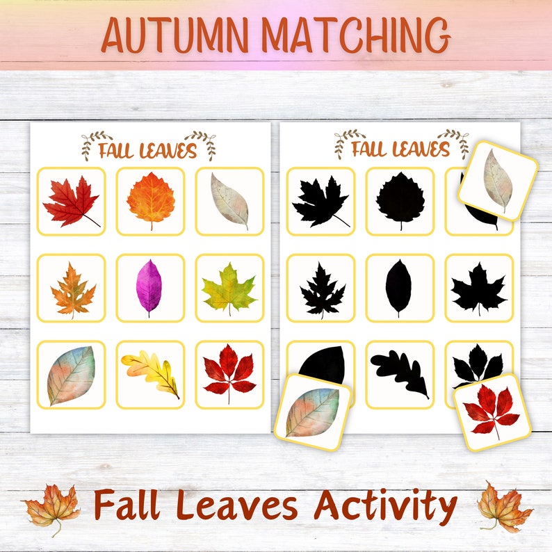 Fall Leaf Matching Activity, Matching Leaves, Fall Leaf Montessori ...