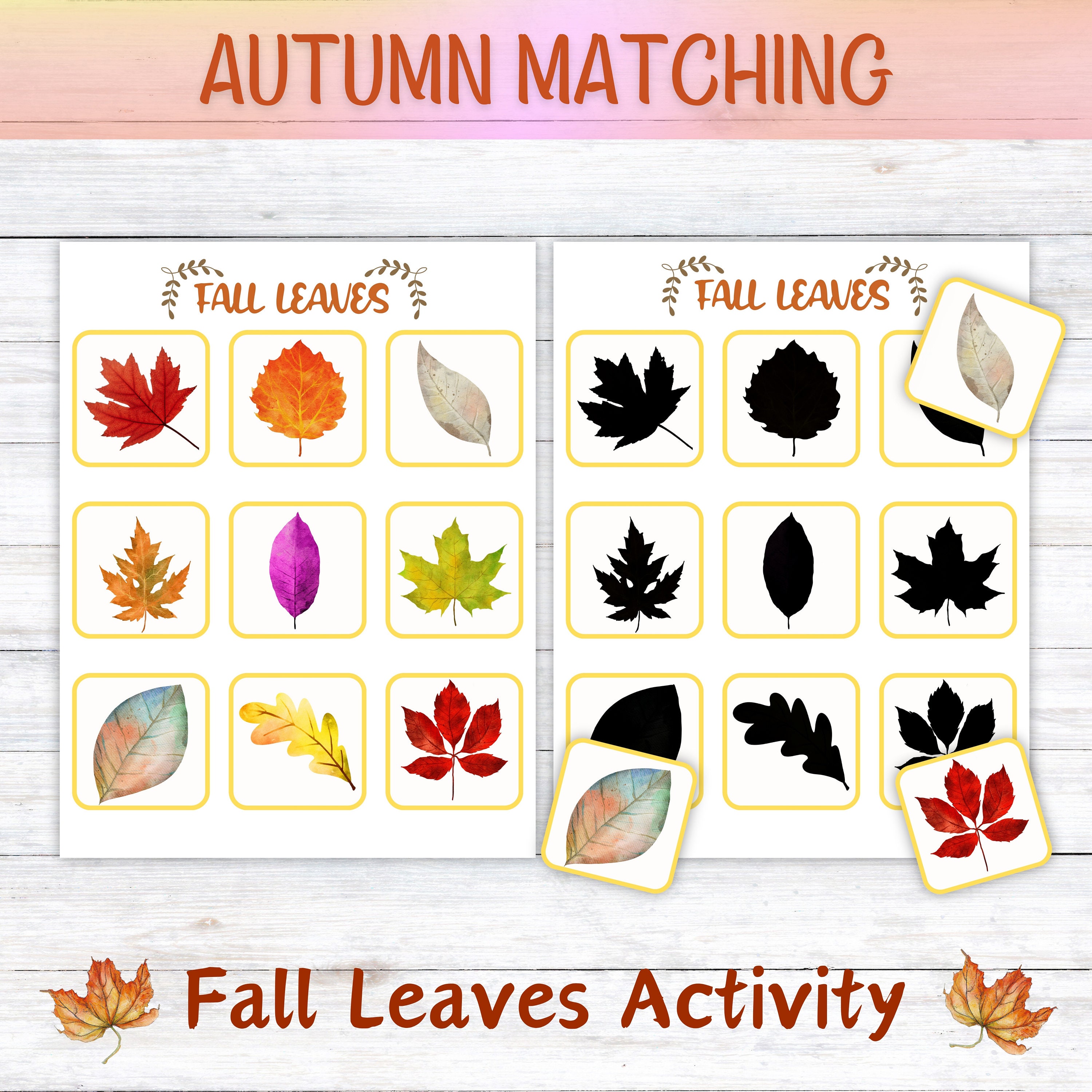 Fall Leaf Matching Activity, Matching Leaves, Fall Leaf Montessori ...