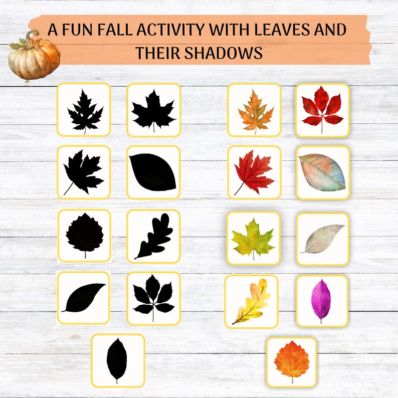 Fall Leaf Matching Activity, Matching Leaves, Fall Leaf Montessori ...