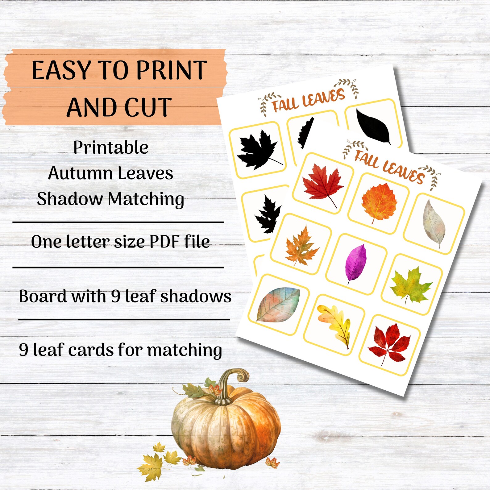 Fall Leaf Matching Activity, Matching Leaves, Fall Leaf Montessori ...