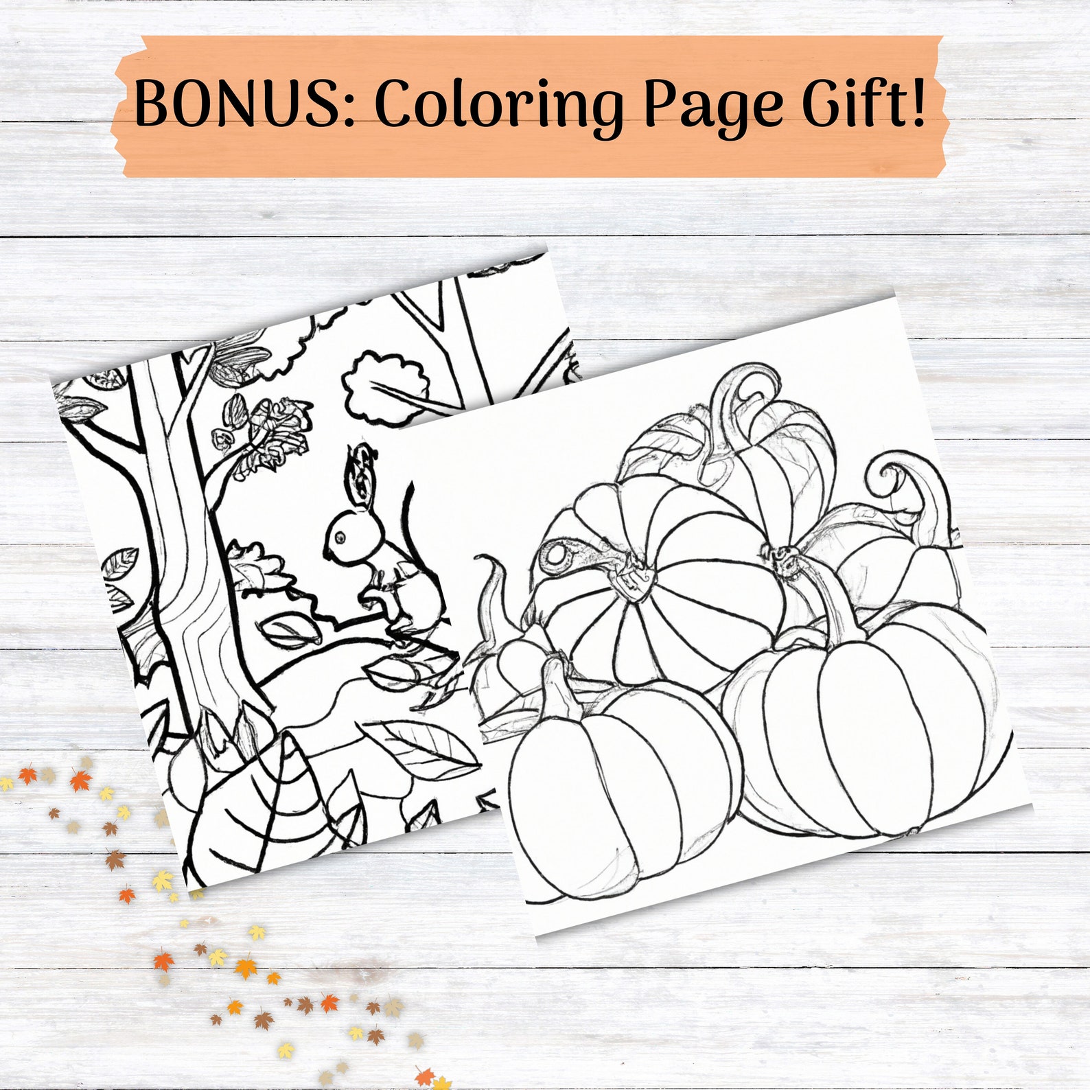 Fall Leaf Matching Activity, Matching Leaves, Fall Leaf Montessori ...