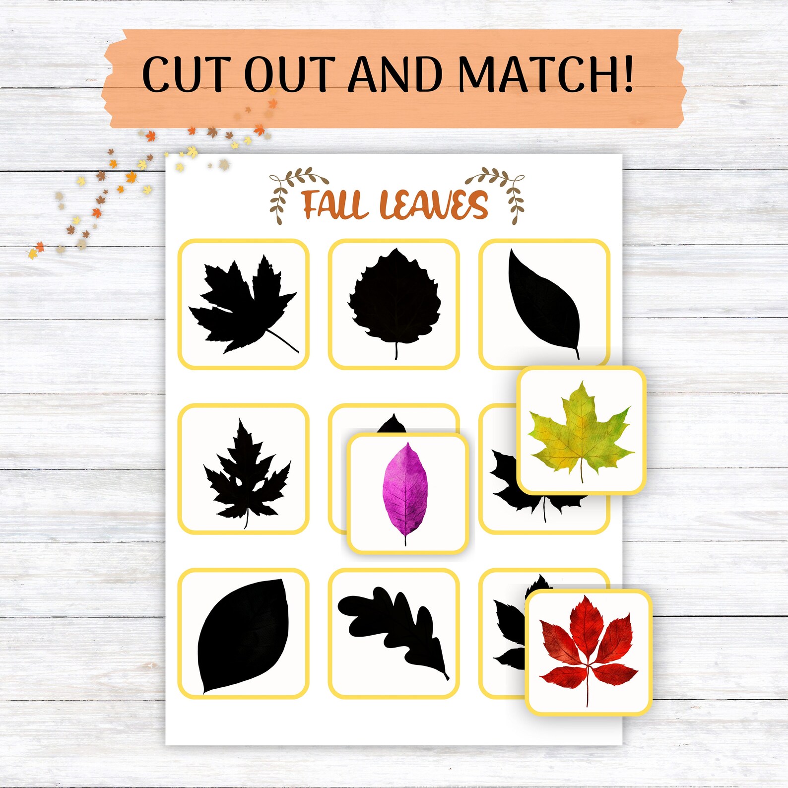 Fall Leaf Matching Activity, Matching Leaves, Fall Leaf Montessori ...