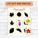 Fall Leaf Matching Activity, Matching Leaves, Fall Leaf Montessori ...