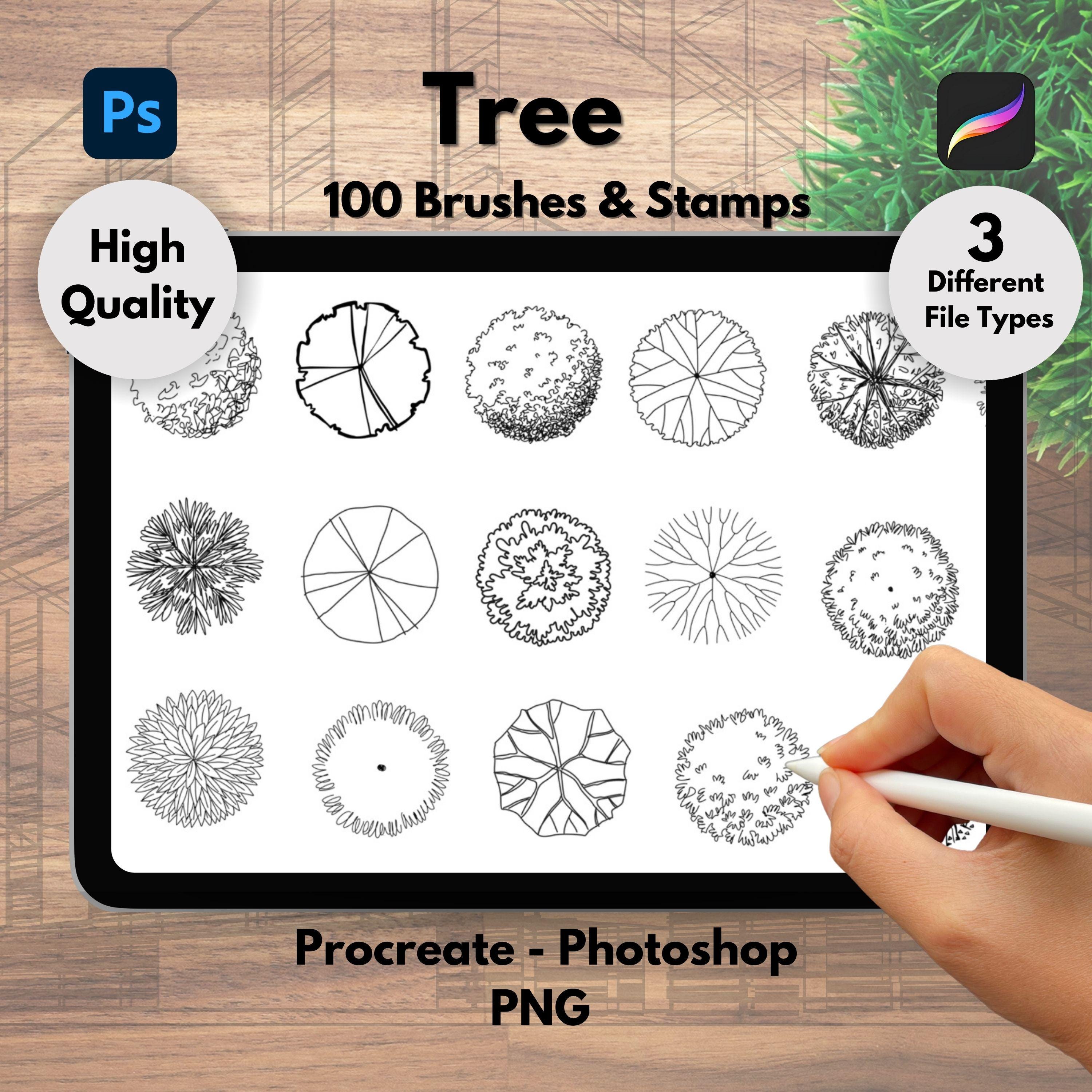 100 Tree Plan Photoshop-procreate Brushes, Tree Plan Procreate Brushes ...