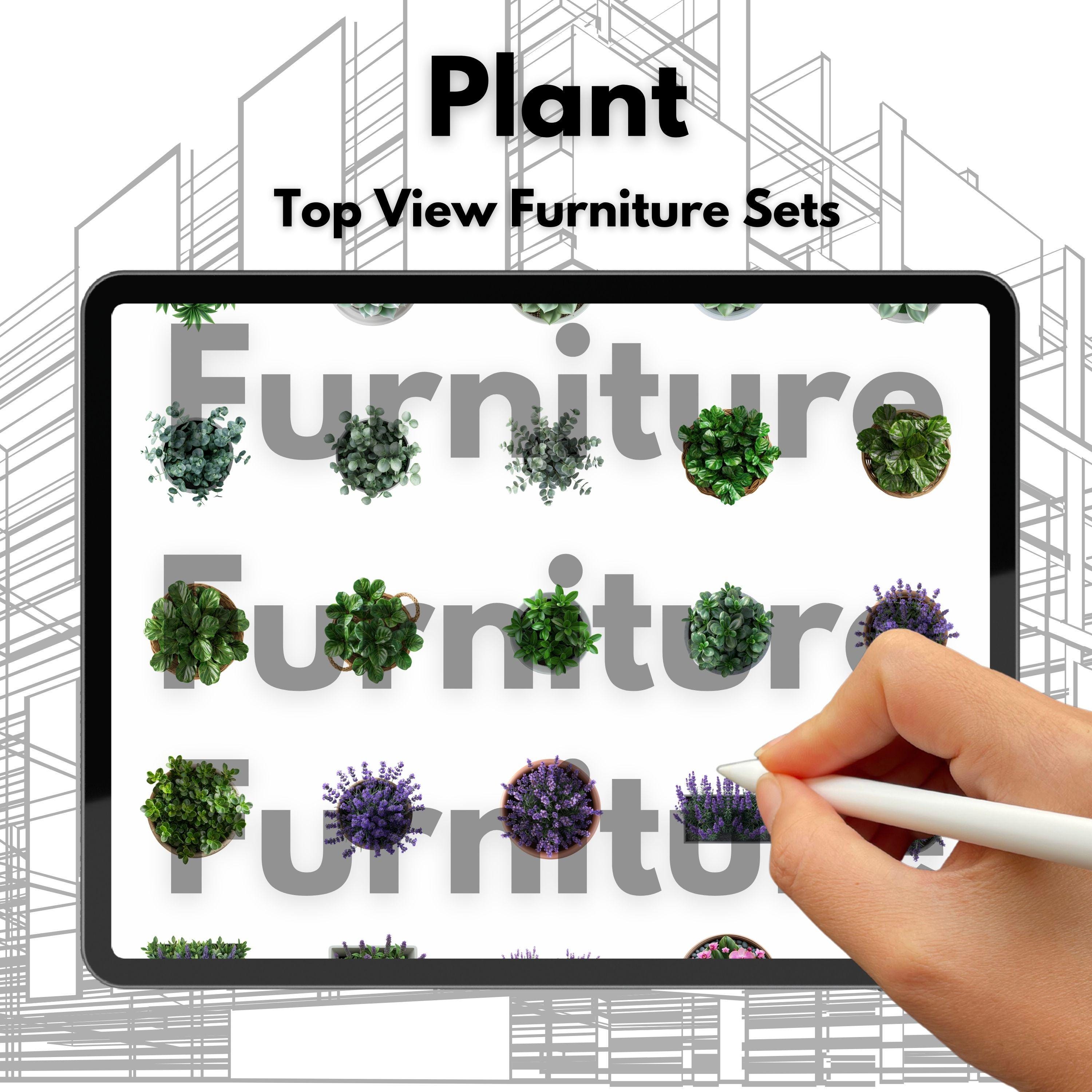 100+ Plant Plan View Set, Modern Classic Plant Designs, Architecture ...