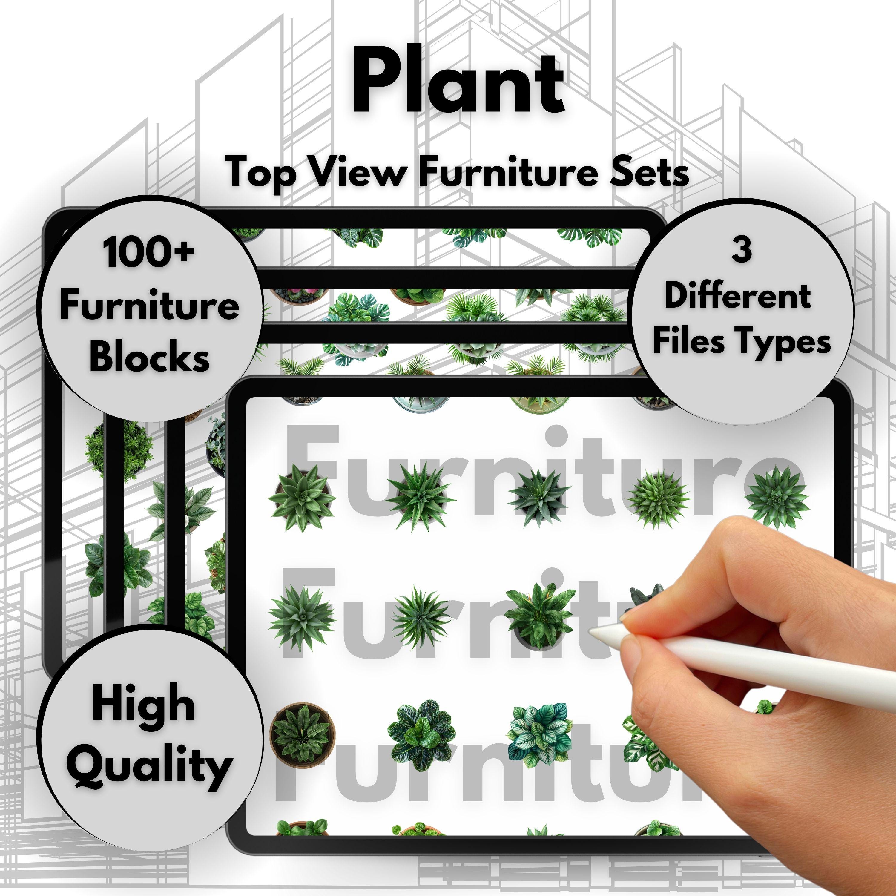 100+ Plant Plan View Set, Modern Classic Plant Designs, Architecture ...