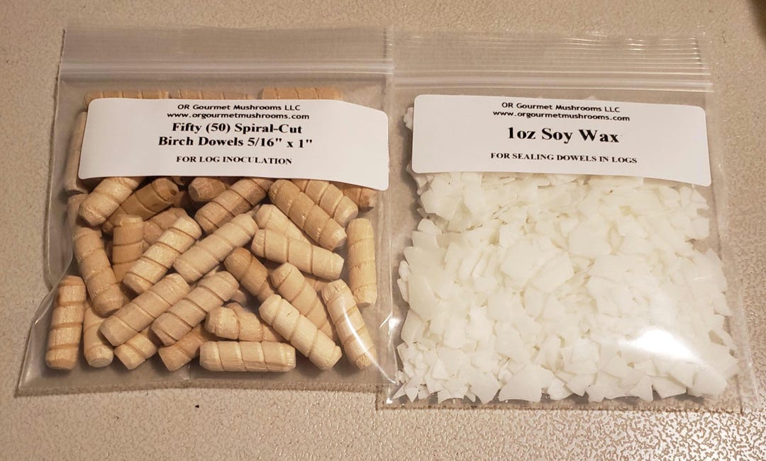 50 Spiral-cut Birch Dowels & Soy Wax for Inoculating Mushroom Logs ...