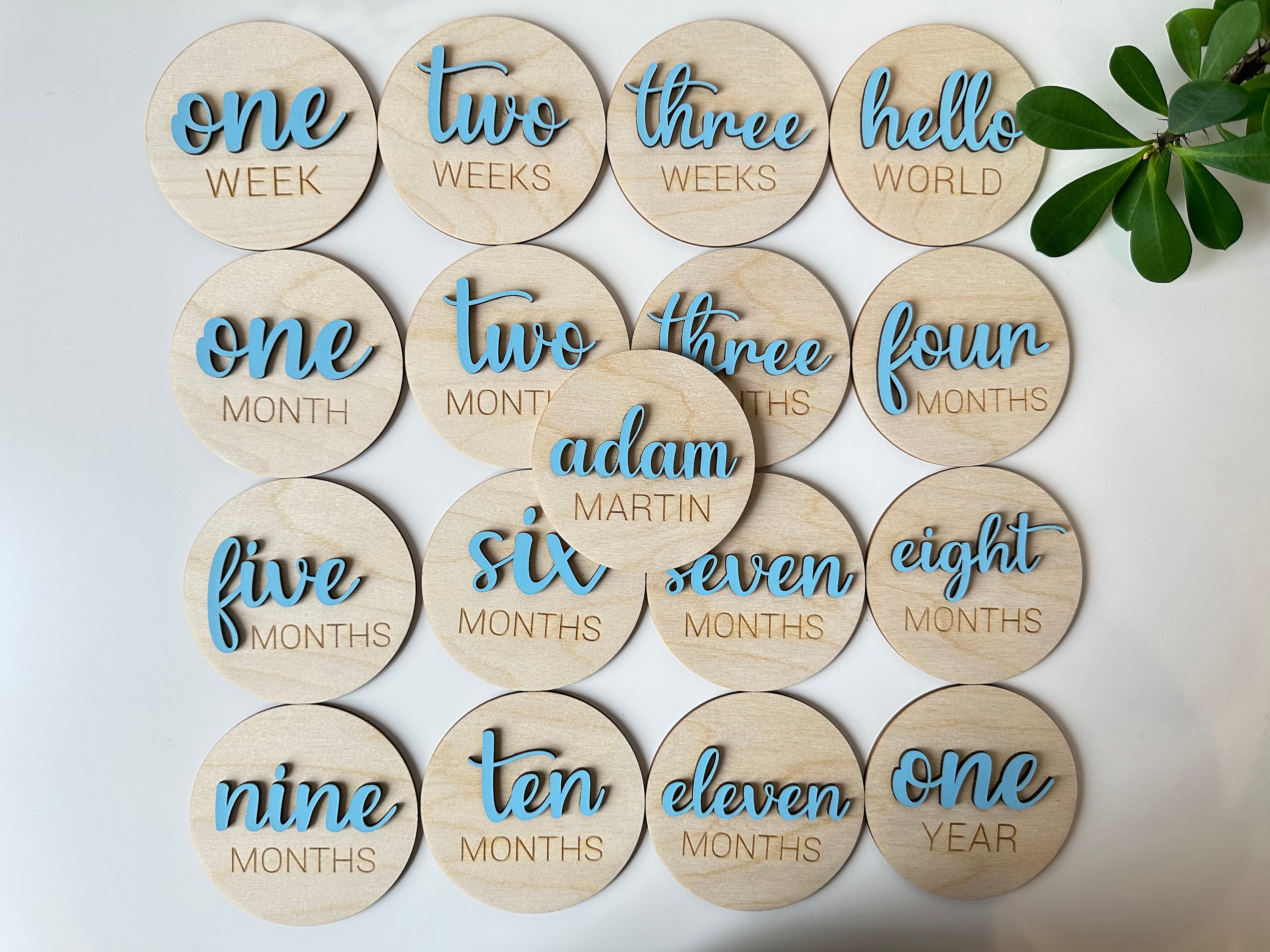 Wooden Monthly Milestone Discs, Baby Monthly Milestone Markers, Baby ...
