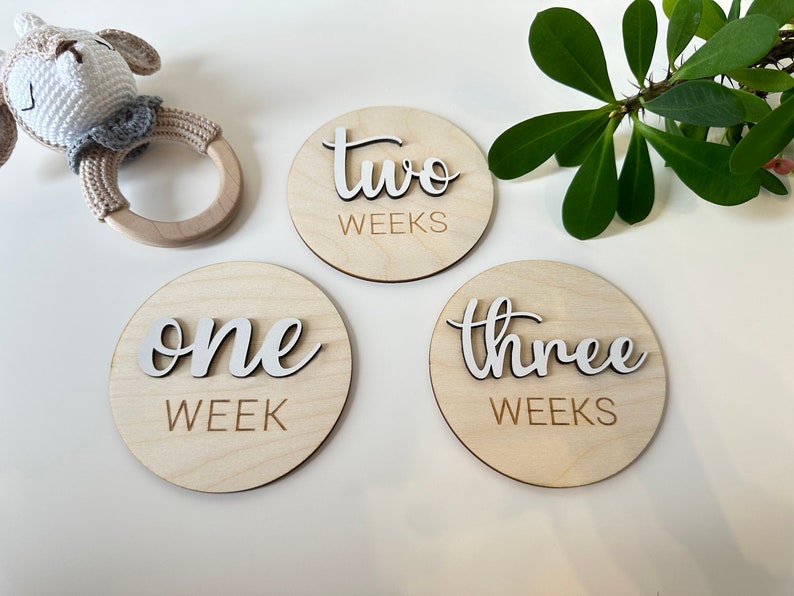 Wooden Monthly Milestone Discs, Baby Monthly Milestone Markers, Baby ...