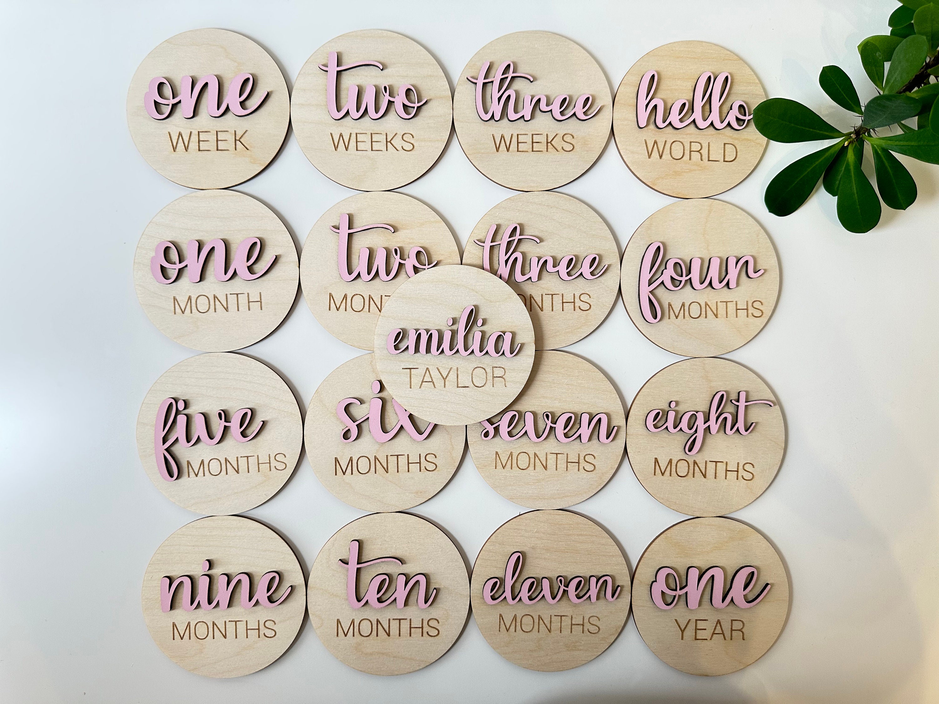 Wooden Monthly Milestone Discs, Baby Monthly Milestone Markers, Baby ...