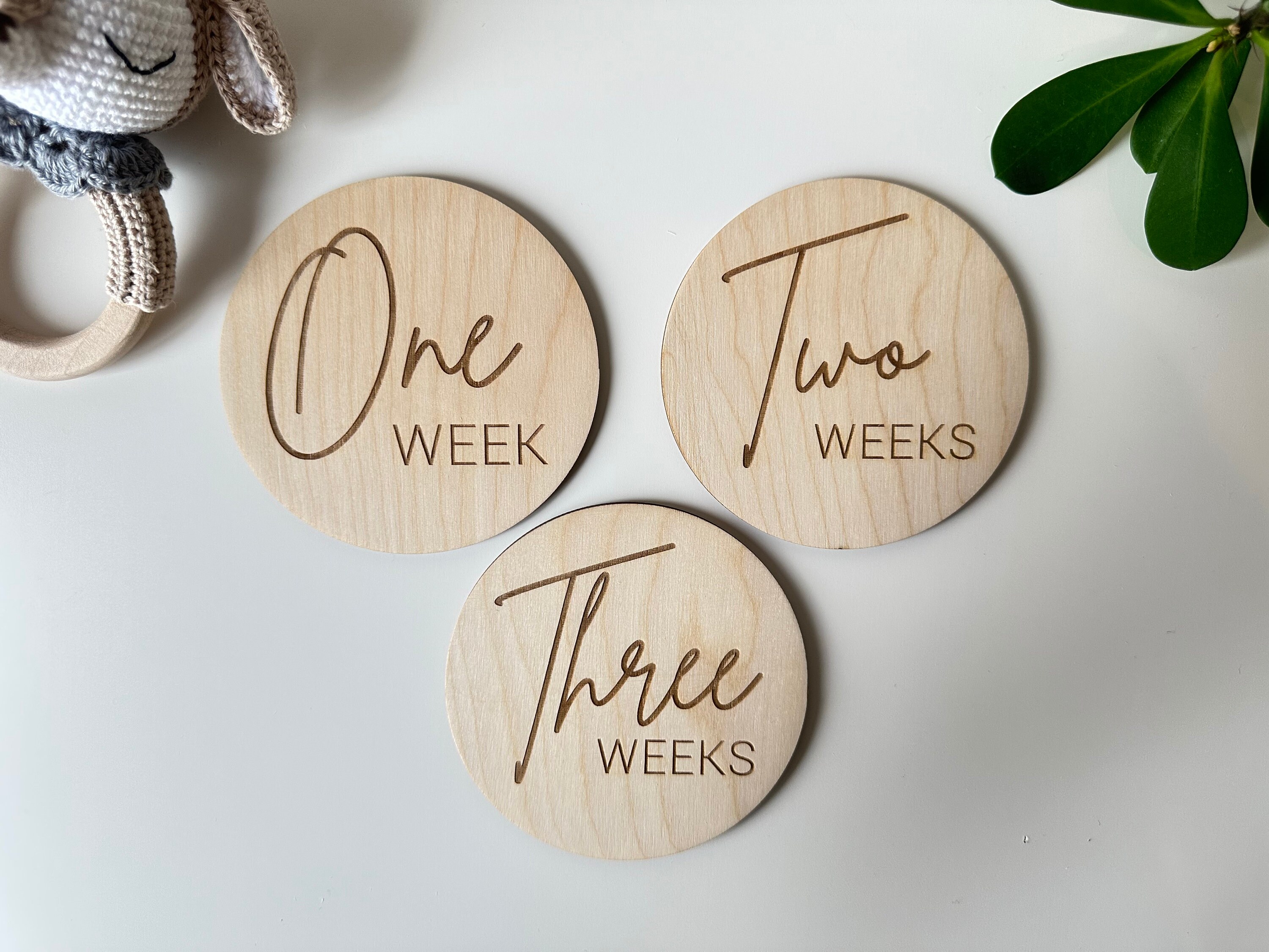 Monthly Milestone Markers for Newborn Baby, Milestone Disc, Wood ...
