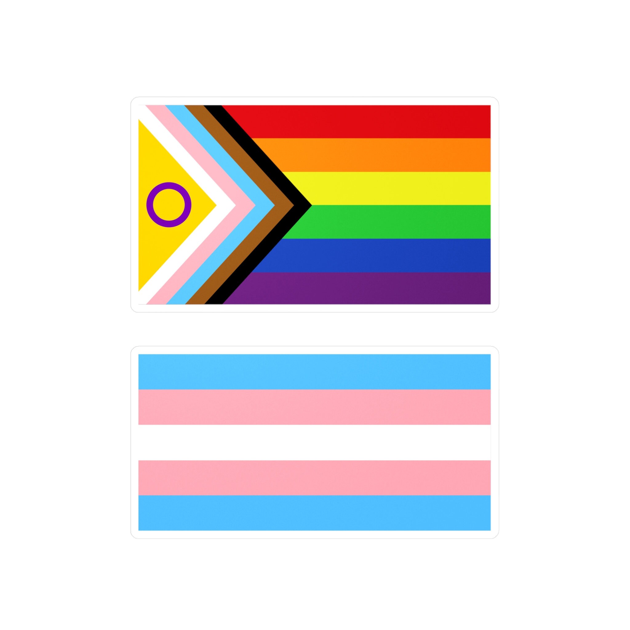 LGBTQIA & Trans Pride Flag Bundle: Sticker, Indoor/outdoor - Etsy