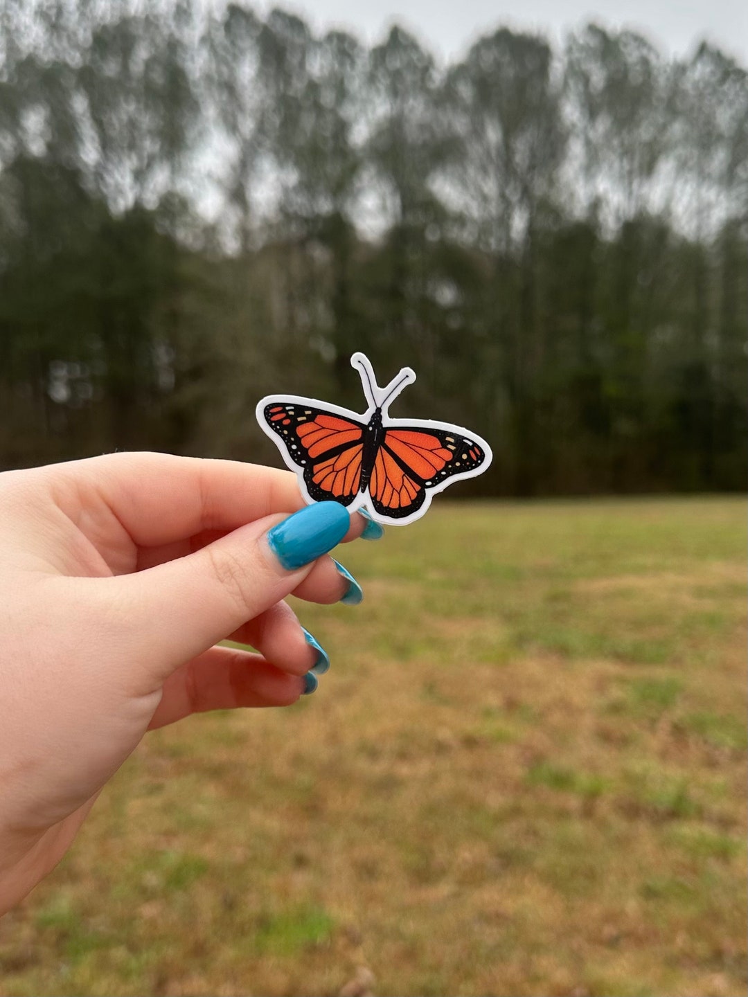 Orange Monarch Butterfly Sticker - Premium Vinyl - Etsy