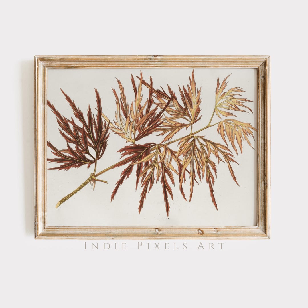 Vintage Japanese Maple Botanical Print, Autumn Wall Art (digital ...