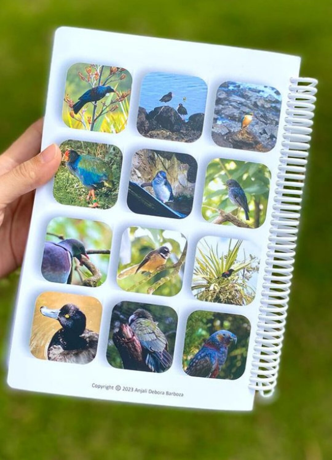 Reflective Diary Inspired by New Zealand's Native Birds Limited Edition ...