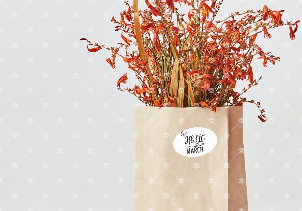 Hello March Svg, Png, Jpg, Pdf, Eps, Dxf - Etsy