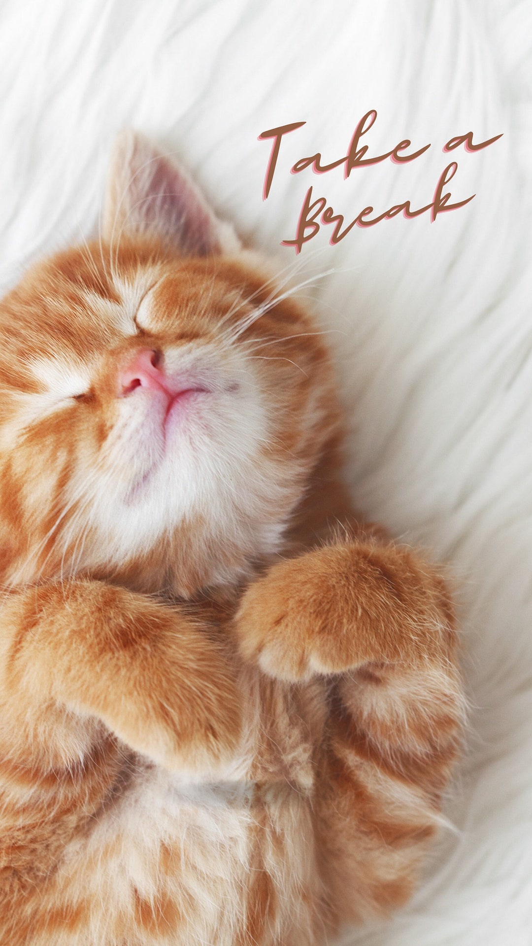 MOTIVATIONAL WALLPAPERS Kitten Wallpaper Take a Break - Etsy