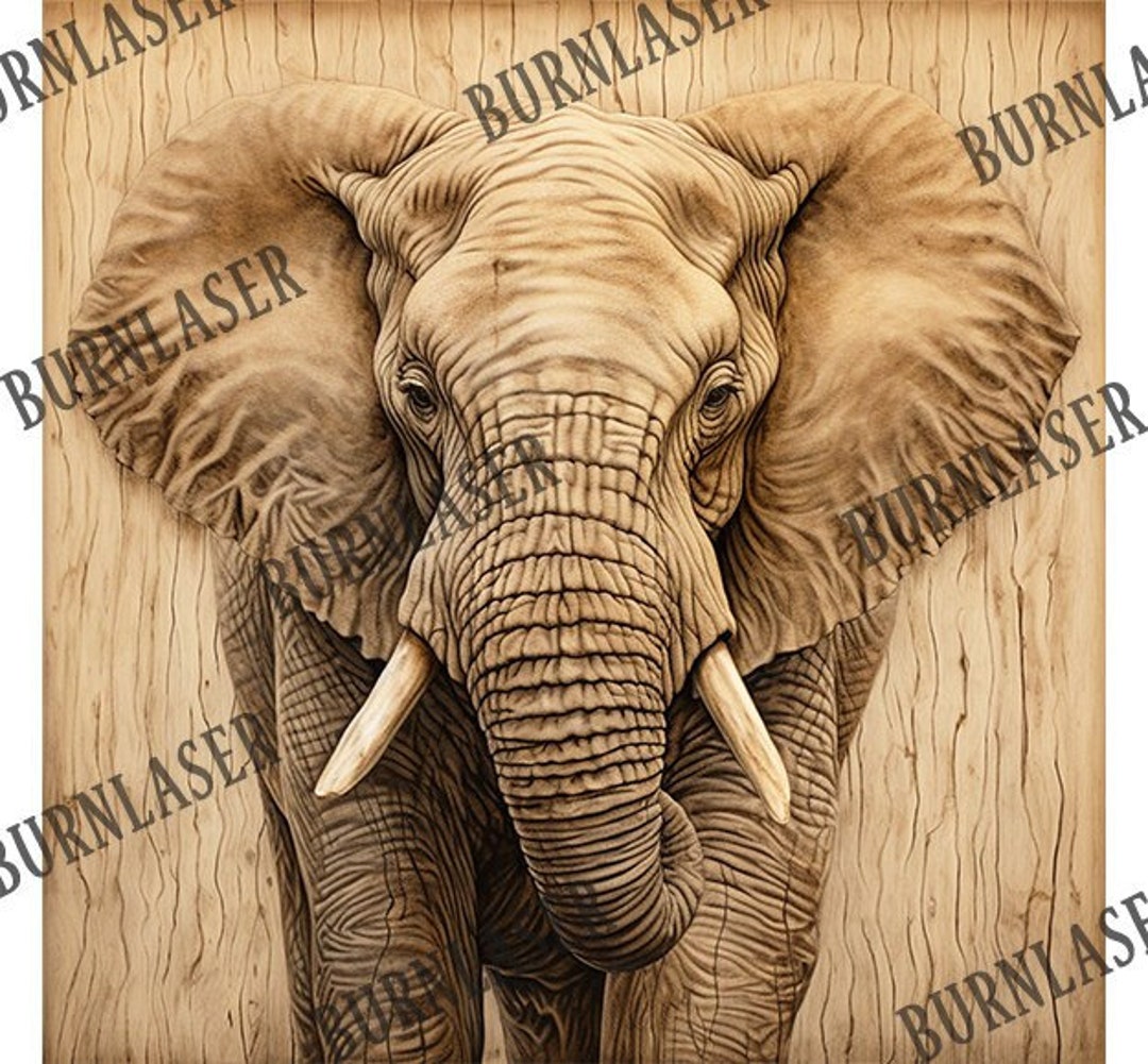 Laser Engraving | Elephant Engraved | PNG Engraving | 3D Illusion ...