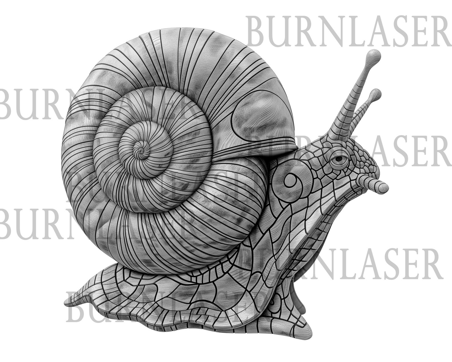Snail - Laser Engraving File 3d Illusion | PNG and Lightburn File ...
