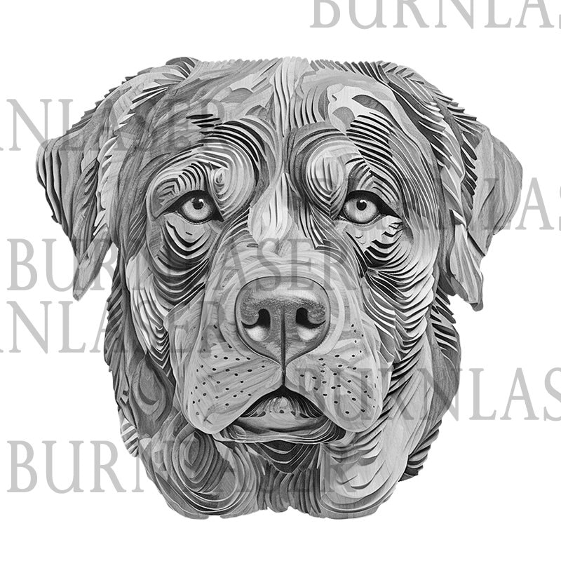 Laser Engraving File Laser Engraving PNG Laser-ready 3D - Etsy