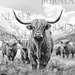 Highland Cows Fichier de gravure laser 3D Illusion PNG et fichier ...