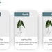 MN Template, Clean Power Point Template, Simple Power Point Template ...