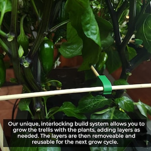 Plantkeeper Hydroponics Trellis System - Etsy