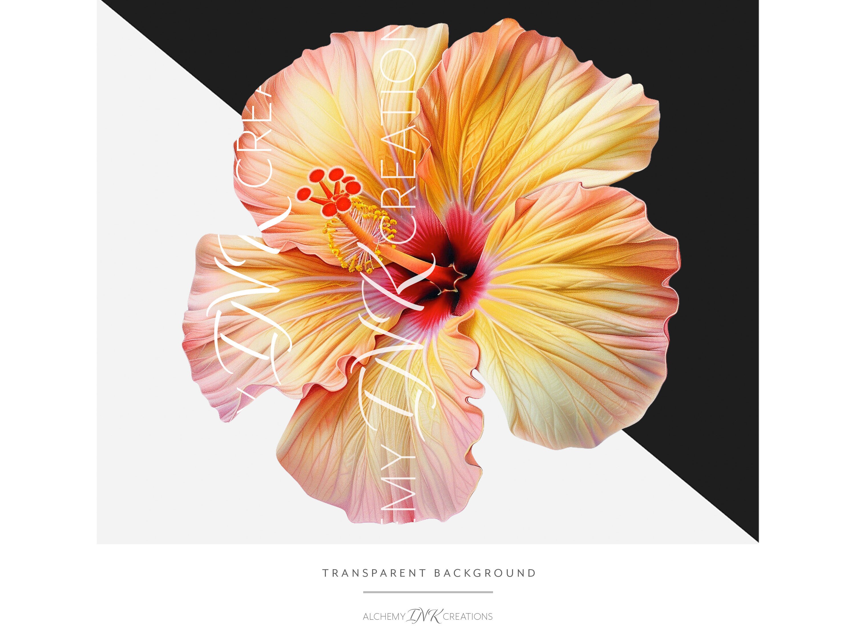 Watercolor Hibiscus Clipart Tropical Flower PNG Wedding Bouquet Clip ...