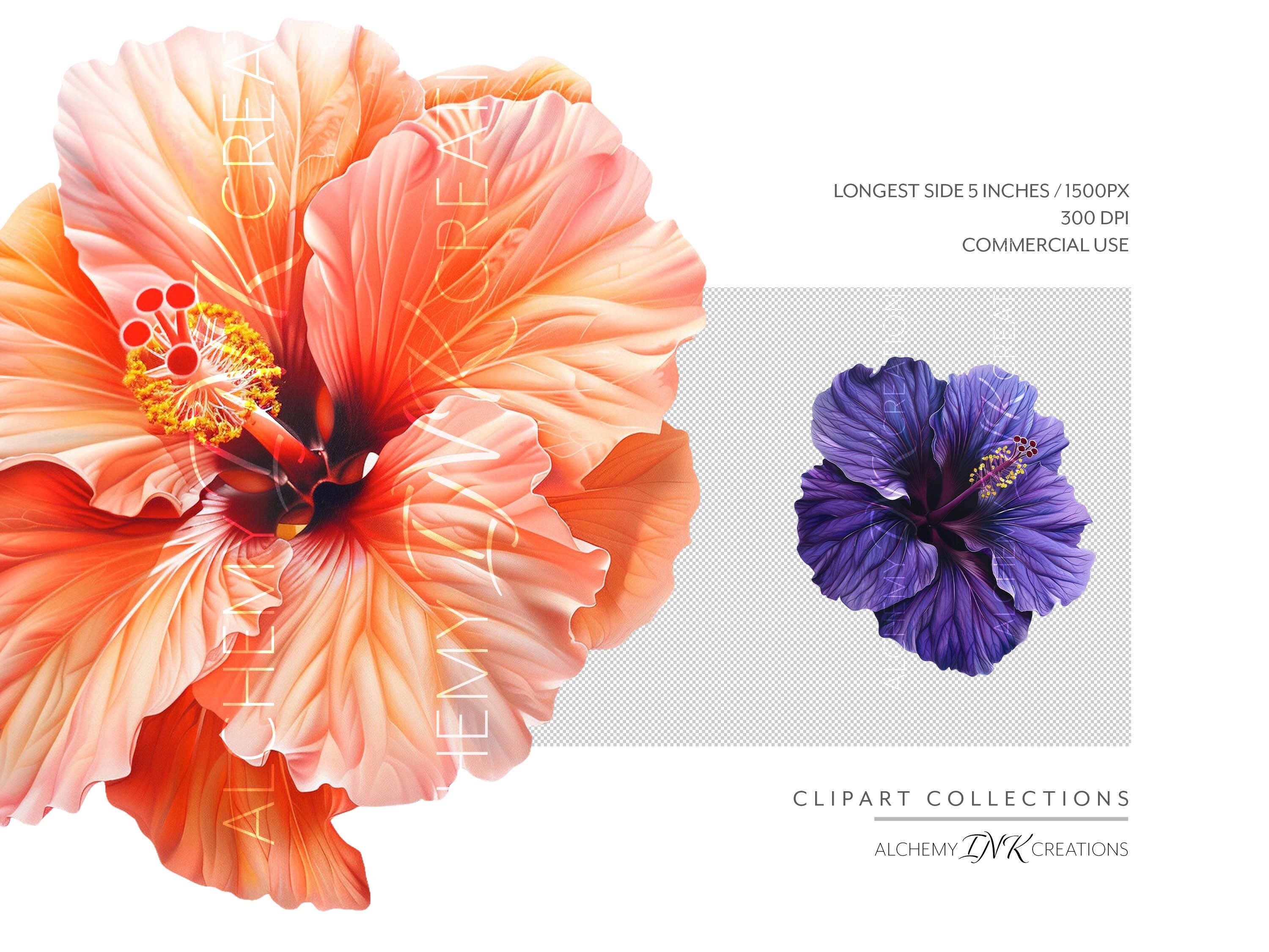 Watercolor Hibiscus Clipart Tropical Flower PNG Wedding Bouquet Clip ...