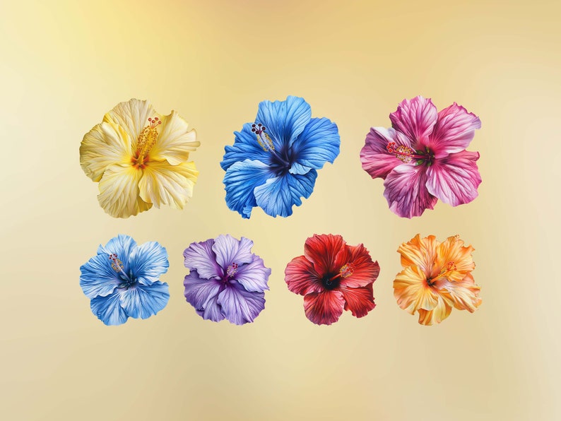 Watercolor Hibiscus Clipart, Tropical Flower PNG Files for Wedding ...