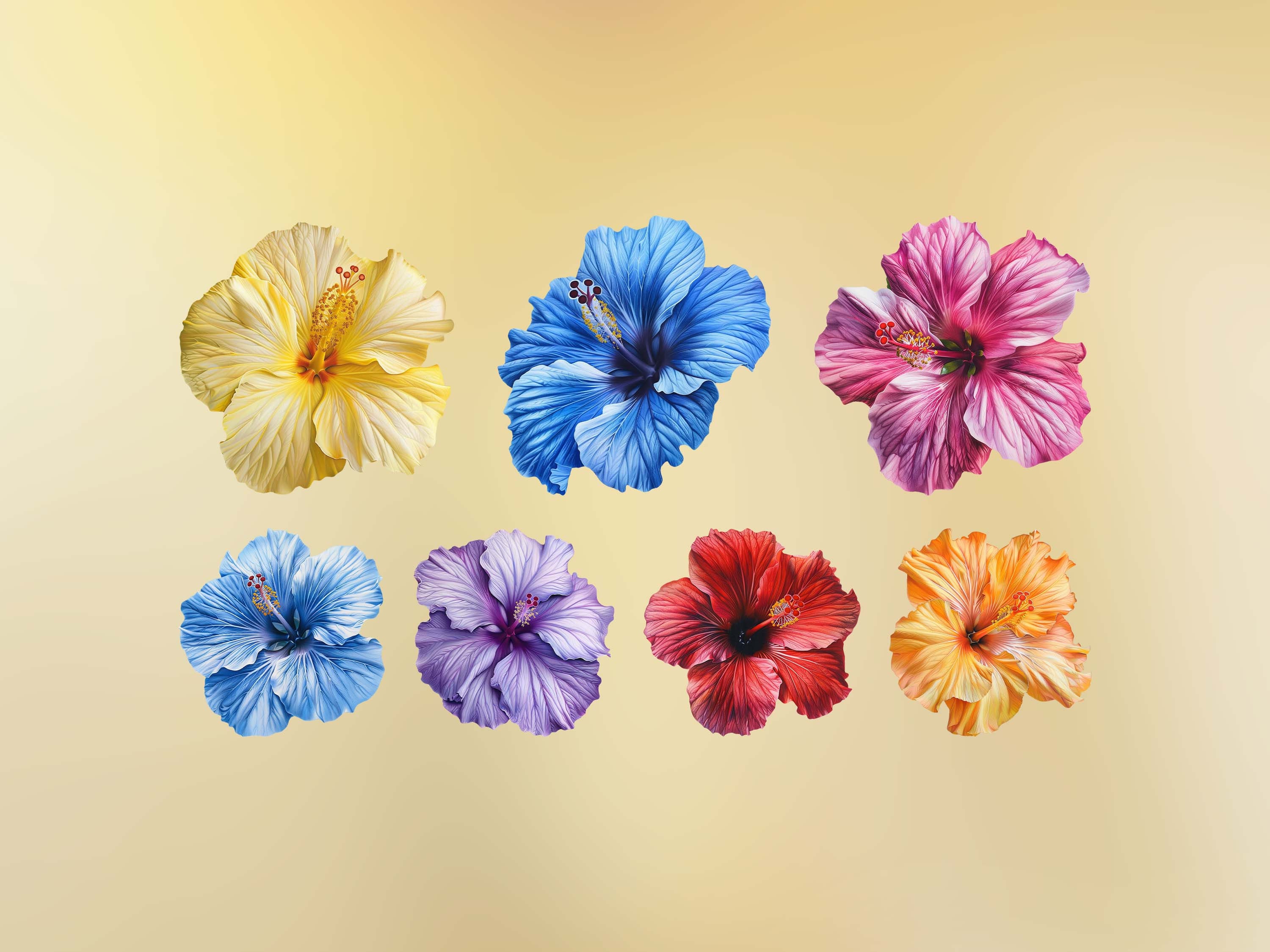 Watercolor Hibiscus Clipart, Tropical Flower PNG Files for Wedding ...