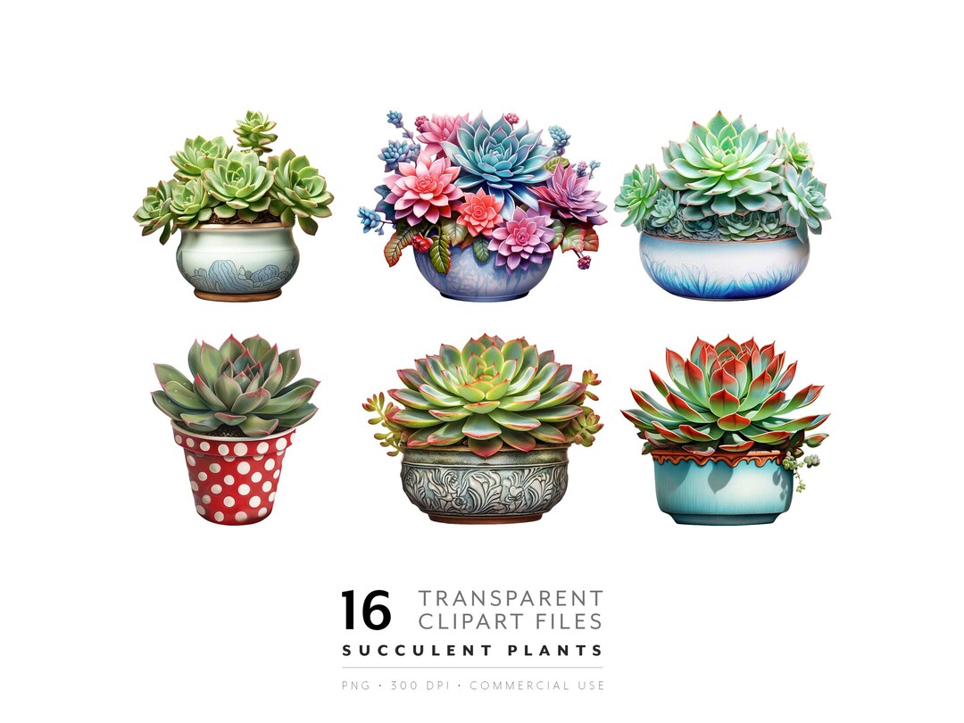 Cactus Plants Clipart - Succulents PNG, Watercolor Flowers Clip Art ...