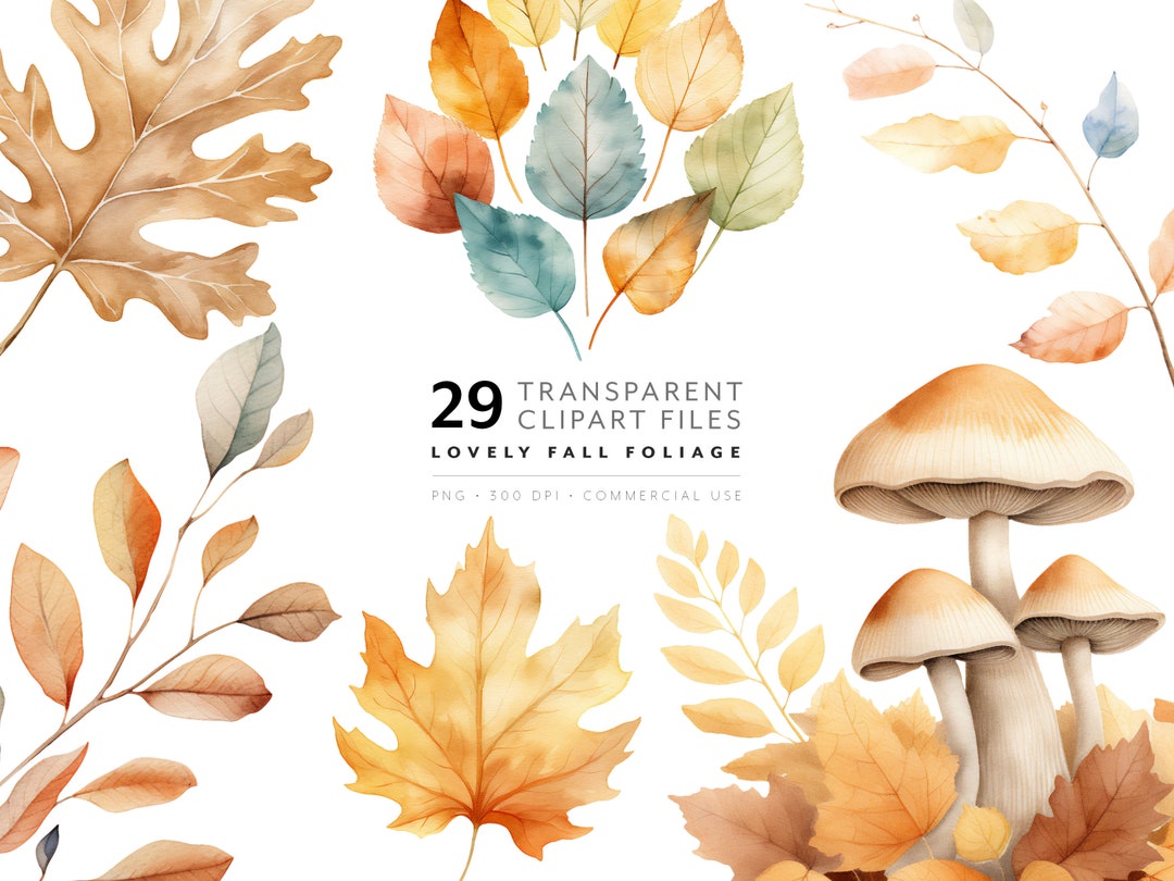 Fall Clipart - Watercolor Autumn PNG, Thanksgiving Clip Art of Greenery ...