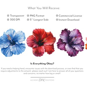 Watercolor Hibiscus Clipart, Tropical Flower PNG Files for Wedding ...