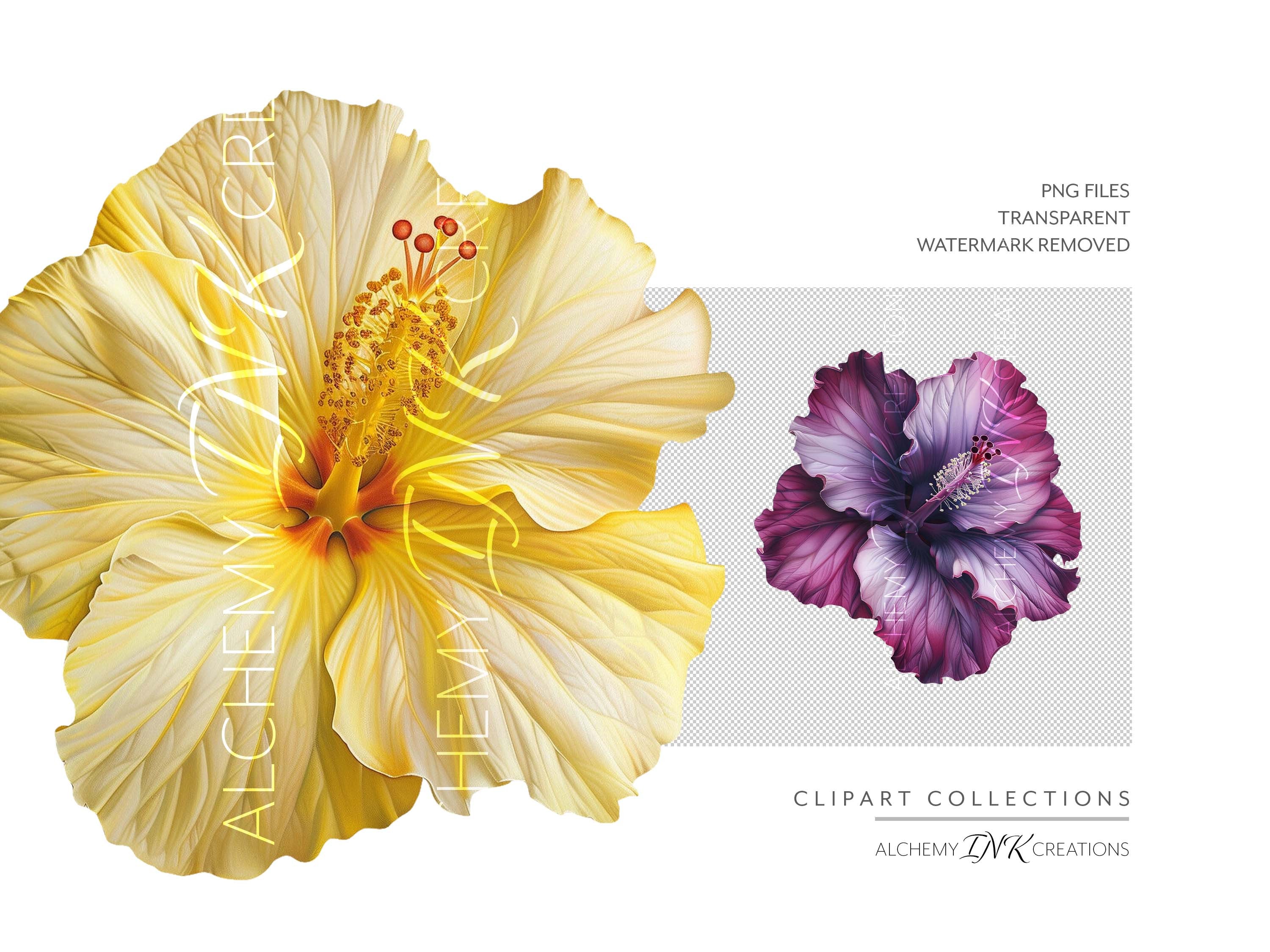 Watercolor Hibiscus Clipart Tropical Flower PNG Wedding Bouquet Clip ...