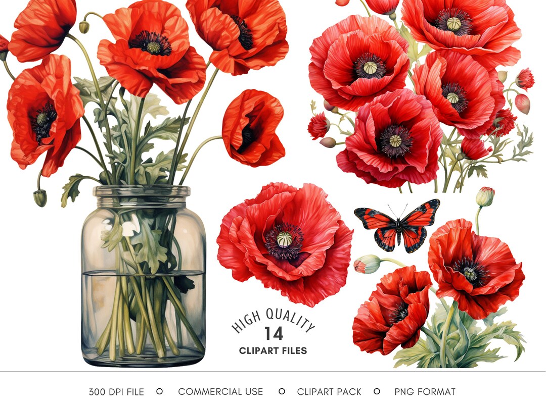 Poppy Clipart - Red Poppies PNG, Watercolor Flowers Graphics ...
