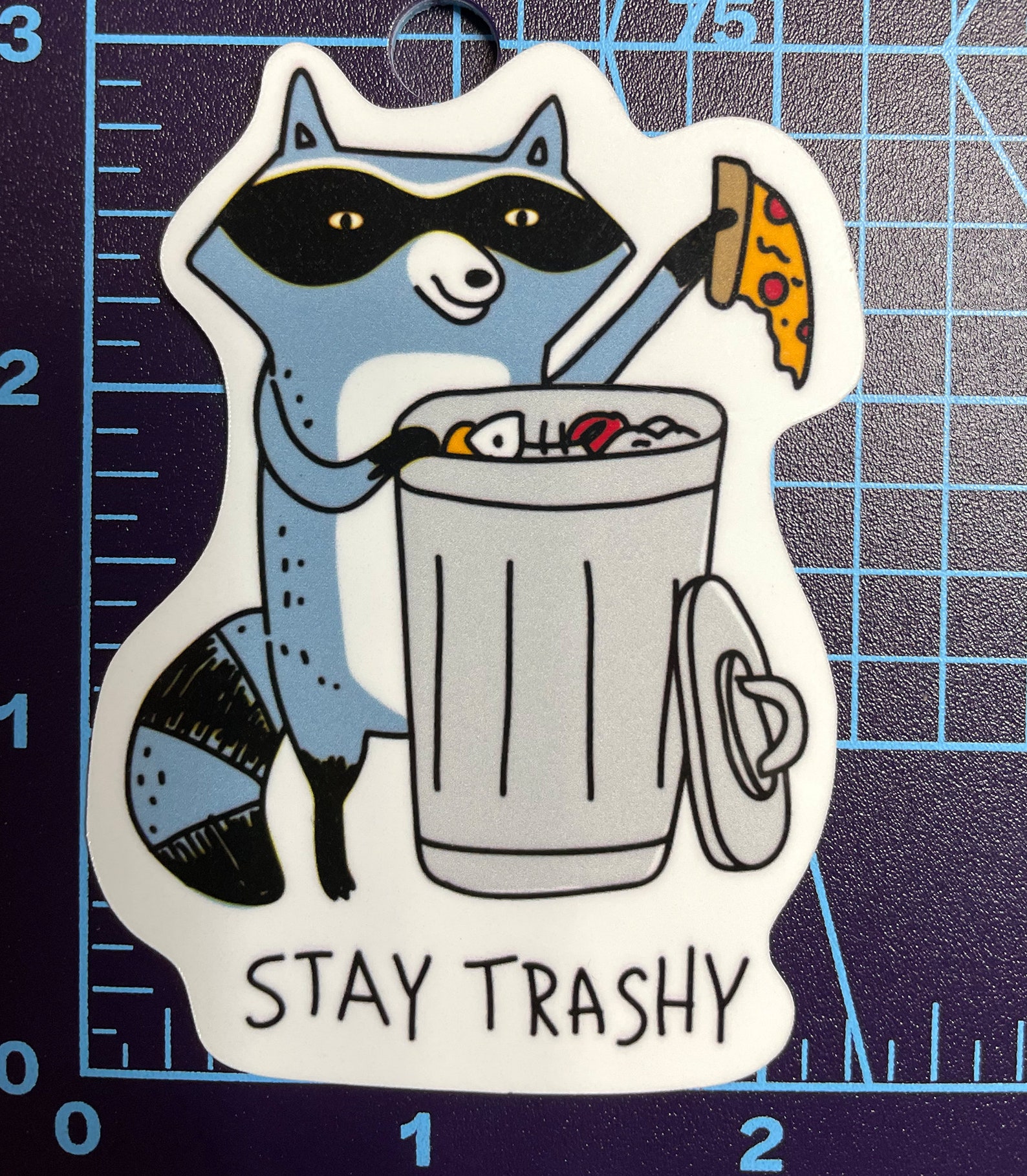 Stay Trashy Trash Panda Raccoon Sticker Cute Raccoon Digging - Etsy