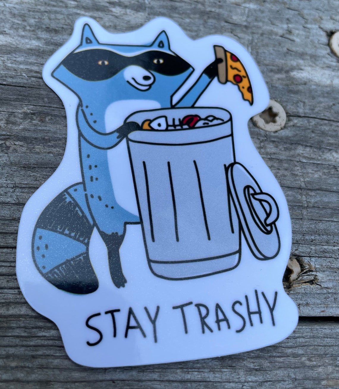 Stay Trashy Trash Panda Raccoon Sticker Cute Raccoon Digging - Etsy