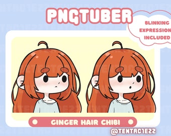 Simple Custom Pngtuber | Cute Pngtuber Commission for Twitch and ...