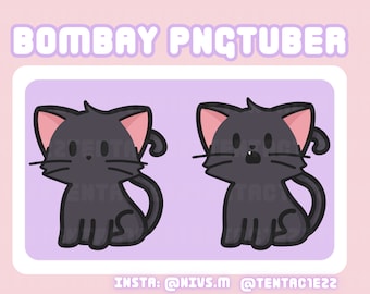 Premade PNG Tuber Cute Cat Png Tuber, Vtuber, Live Streaming, Stream, Twitch, Youtube, Obs Ready ...