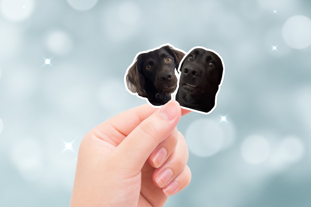 Tiktok Dogs, Confused Dogs Sticker, Awkward Dogs, Awkward Staring, Two ...