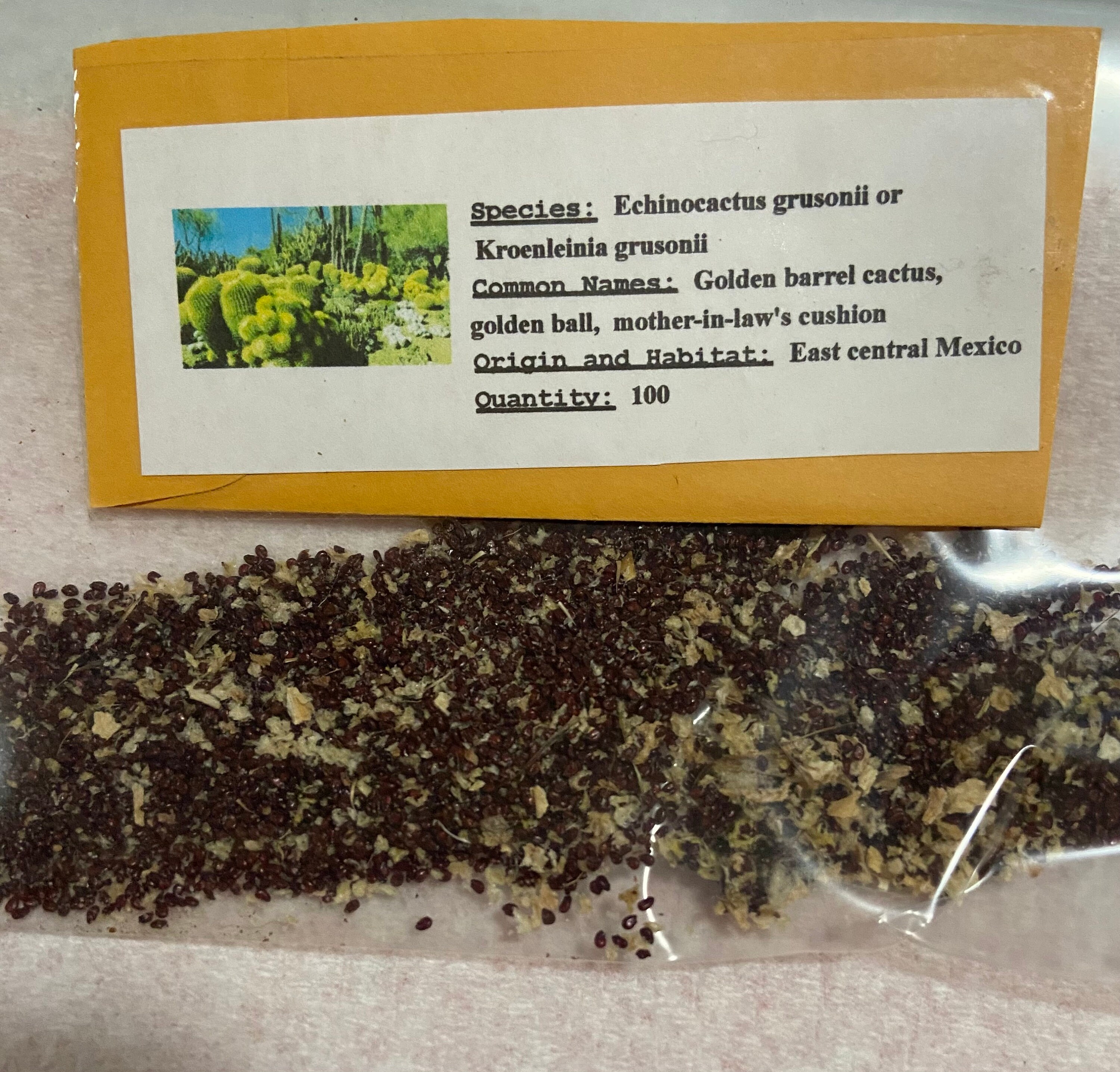 Golden Barrel Cactus Seeds - Etsy