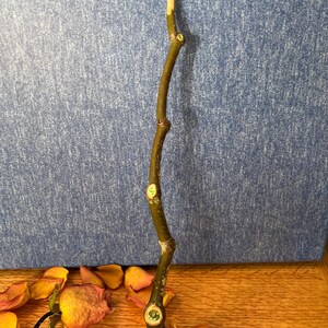 Ritual Witchy Wand, Ceremonial Stick, Vocal Power - Etsy