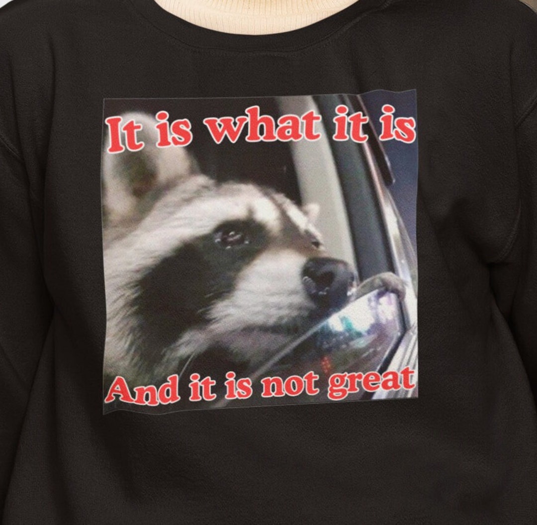 It is What It is and It is Not Great / Racoon Dank Meme Quote Out of ...