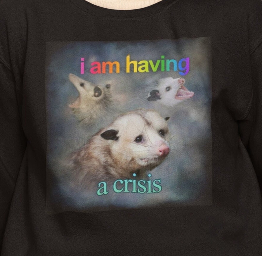 I Am Having a Crisis / Dank Meme Quote Out of Pocket Humor Sweatshirt ...