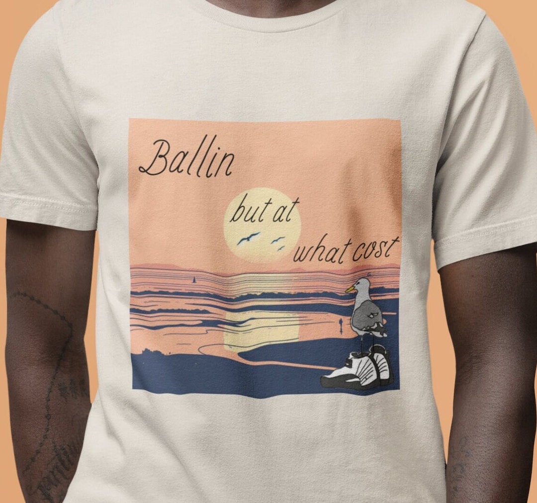 Ballin but at What Cost / Depressed Seagull Dripped Out Swag Dank Meme ...