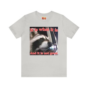 It is What It is and It is Not Great / Crying Raccoon Dank Meme Quote ...